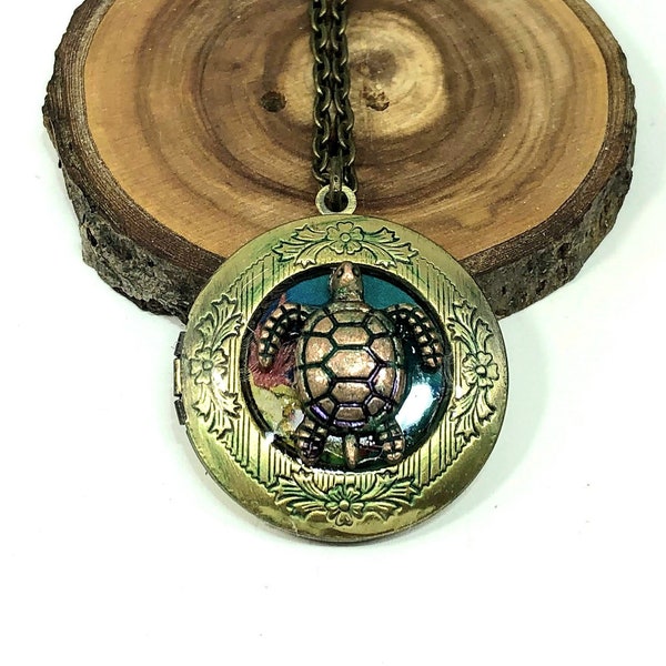 Turtle Picture - Etsy