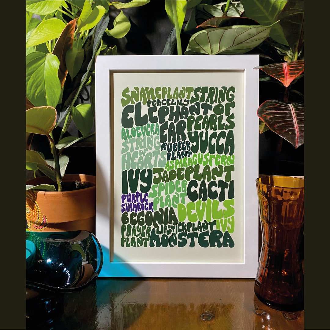 House Plants Typography. 70's Style Typography, Types of House Plant ...