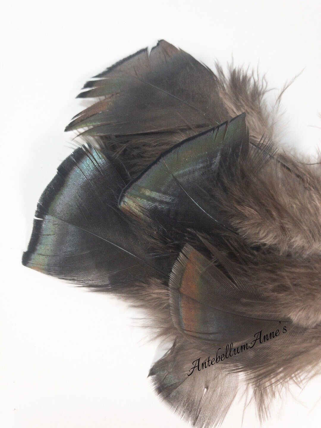 New Zealand Ethically Sourced Wild Male Turkey Black Square Tip ...