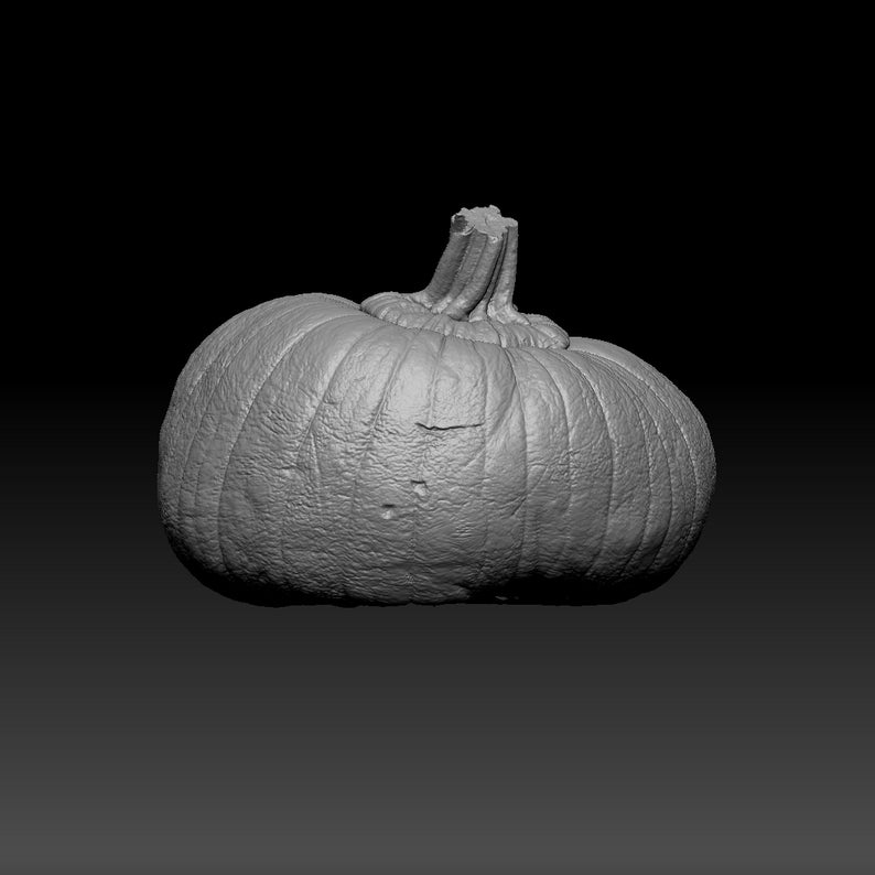 Rotten Pumpkin 3D Printable STL Model - Etsy