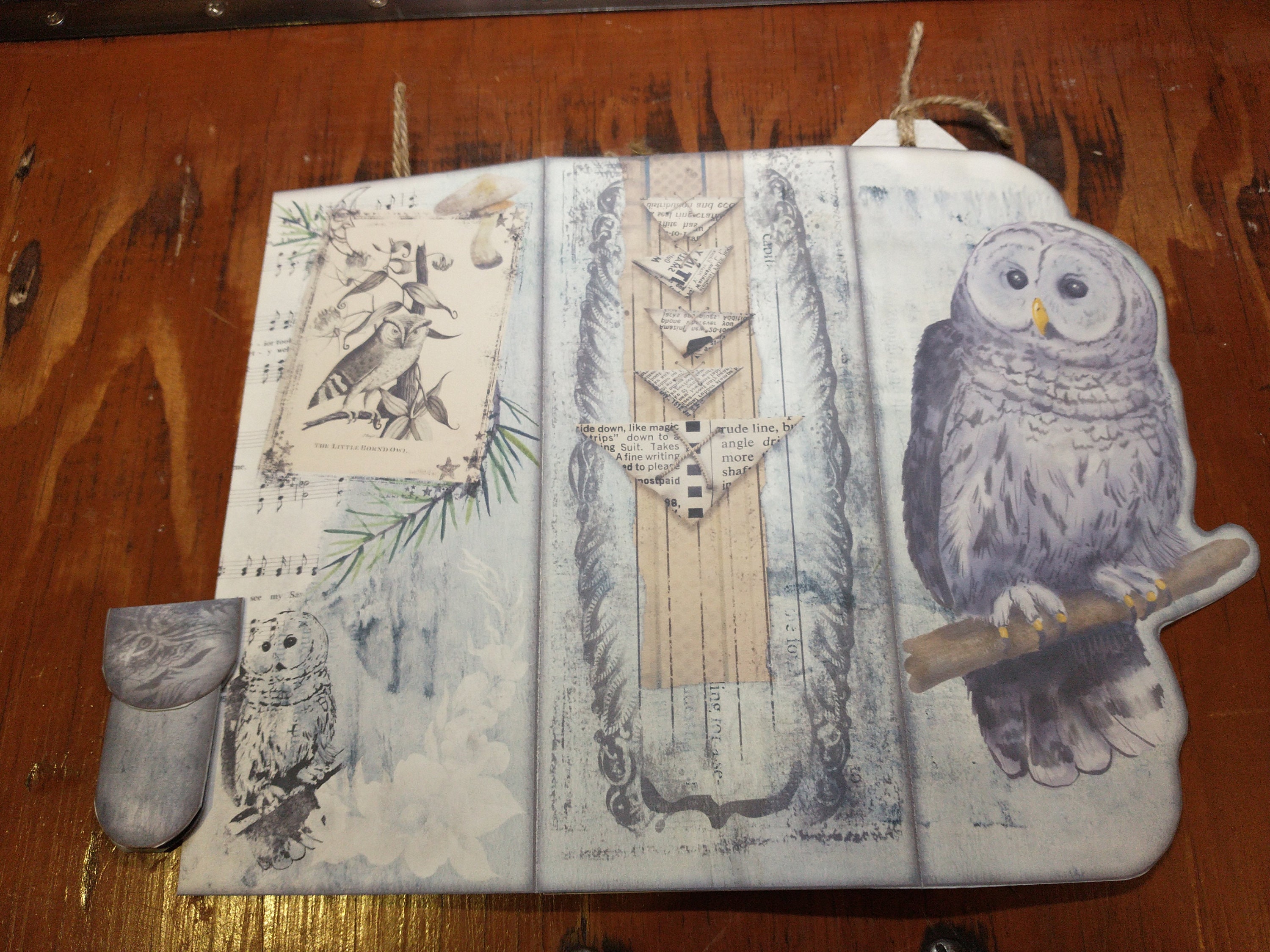 DIGITAL Junk Journal Folio - Barred Owl - Owl Nature Pocket Folio for ...