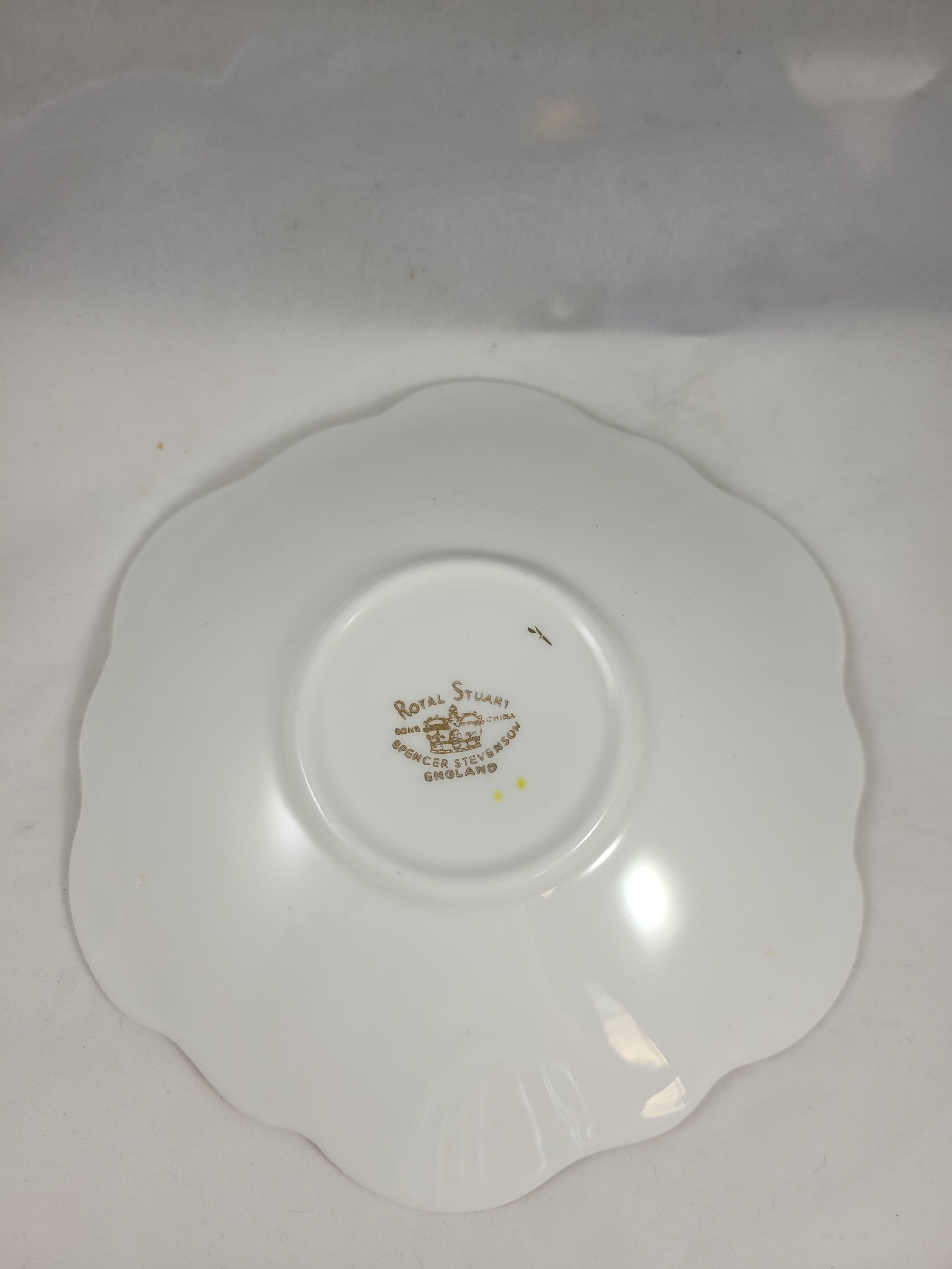 Royal Stuart Tea Cup and Saucer Floral Pattern Bone China Spencer ...