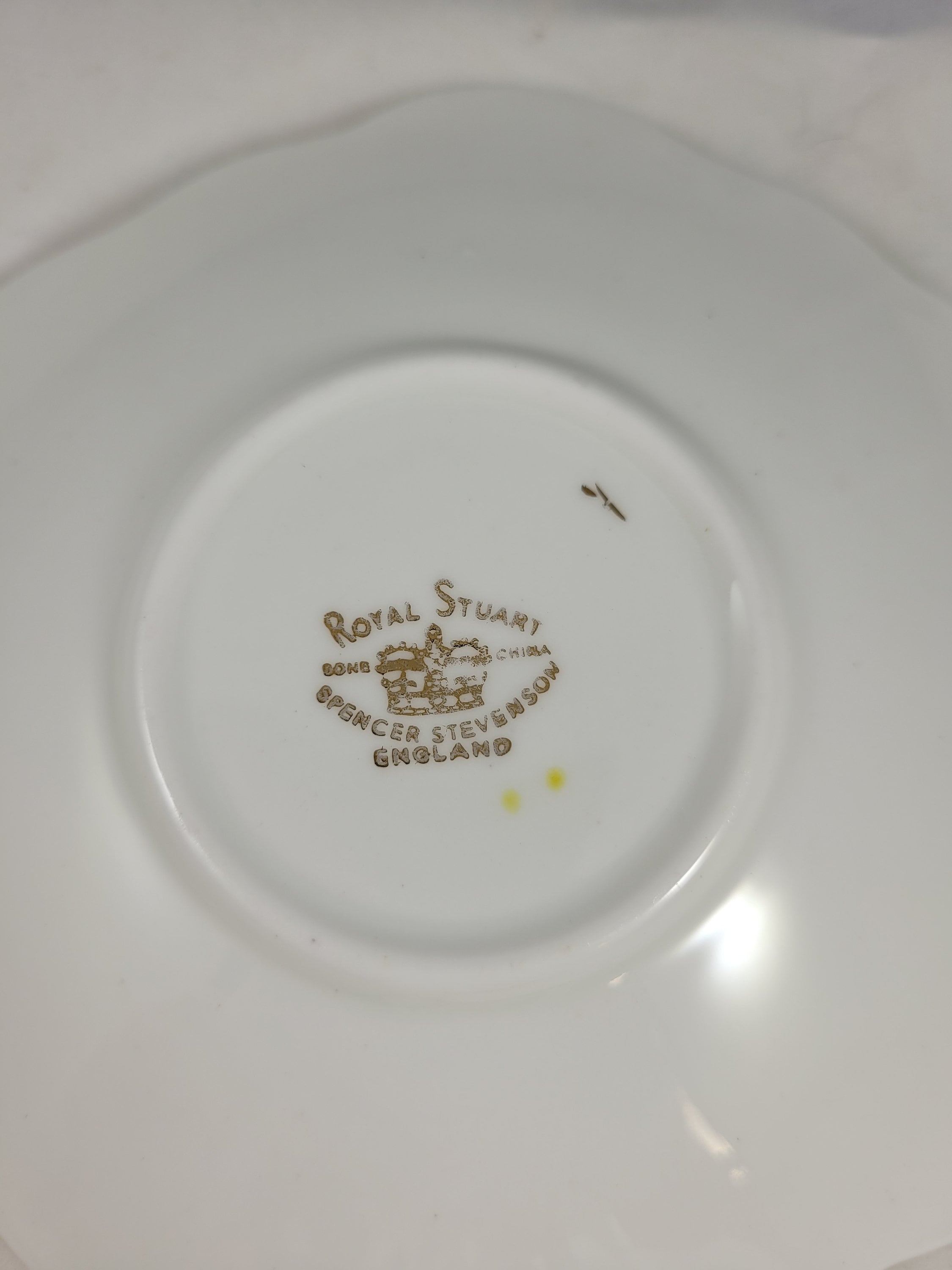 Royal Stuart Tea Cup and Saucer Floral Pattern Bone China Spencer ...