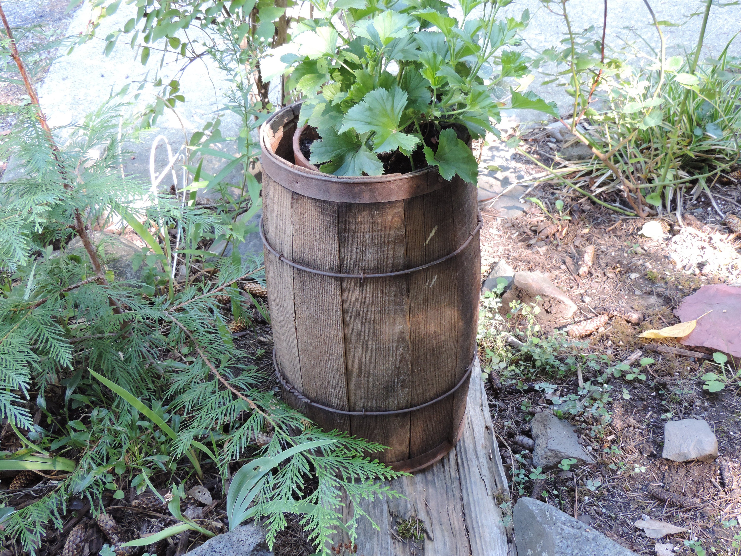 1920's Nail Keg Antique Wooden Nail Barrel Industrial Nail Keg Storage ...
