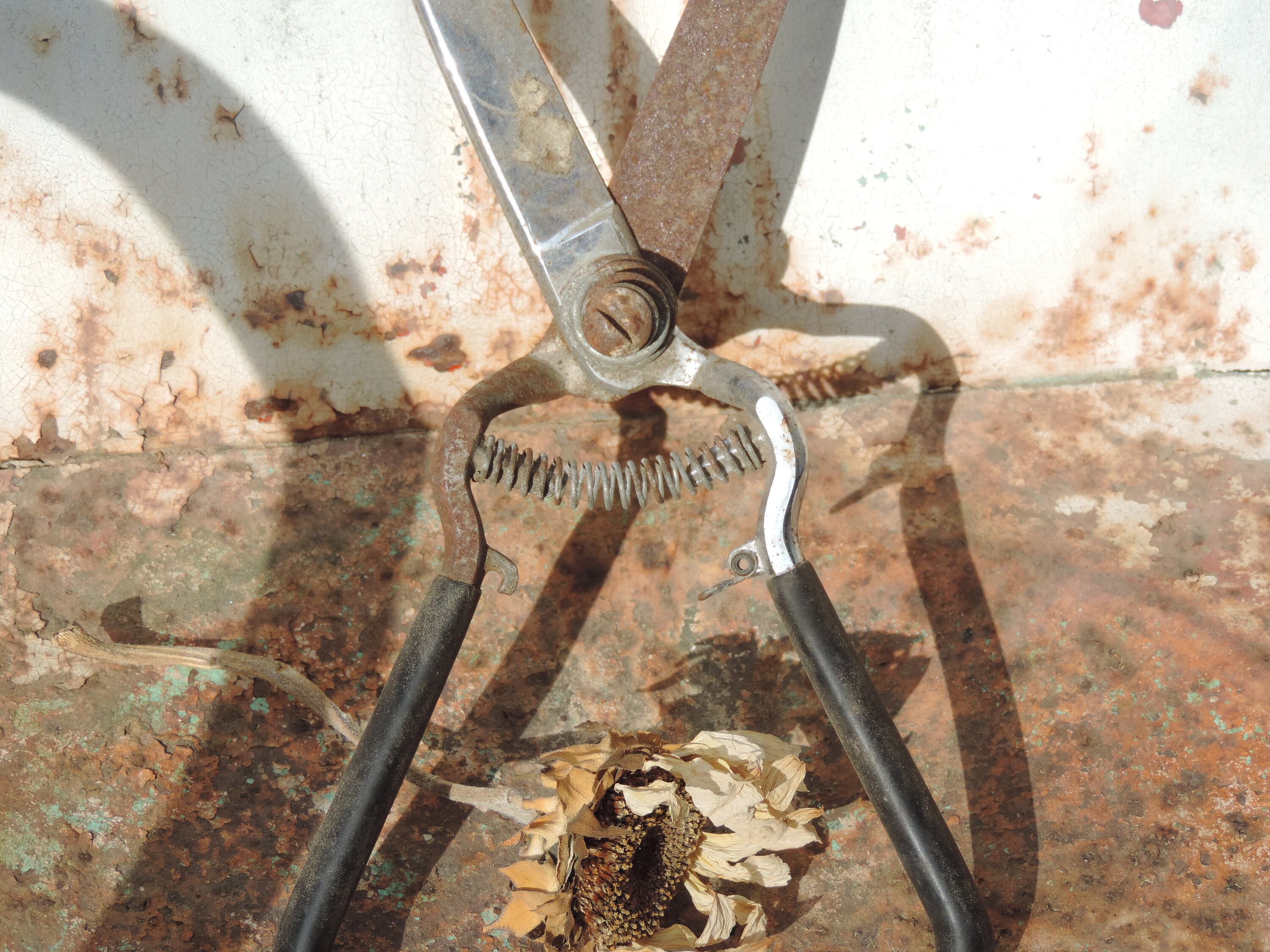 Italian Garden Shears Metal Grass Trimmers Village Blacksmith Made in ...