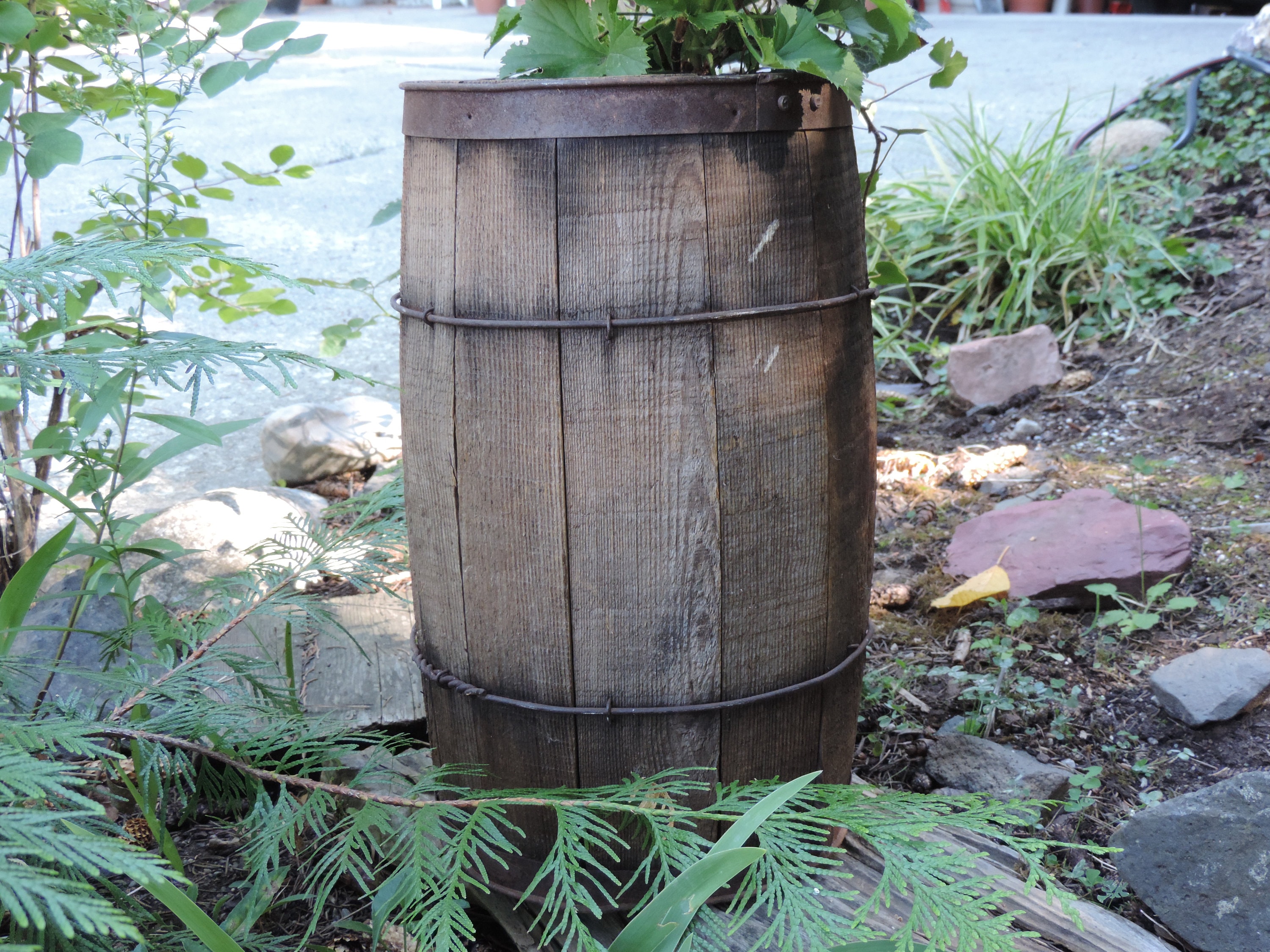 1920's Nail Keg Antique Wooden Nail Barrel Industrial Nail Keg Storage ...