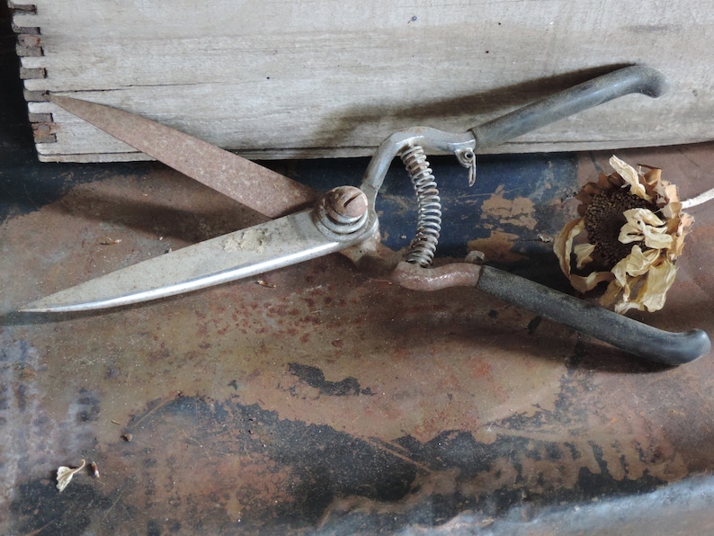 Italian Garden Shears Metal Grass Trimmers Village Blacksmith Made in ...