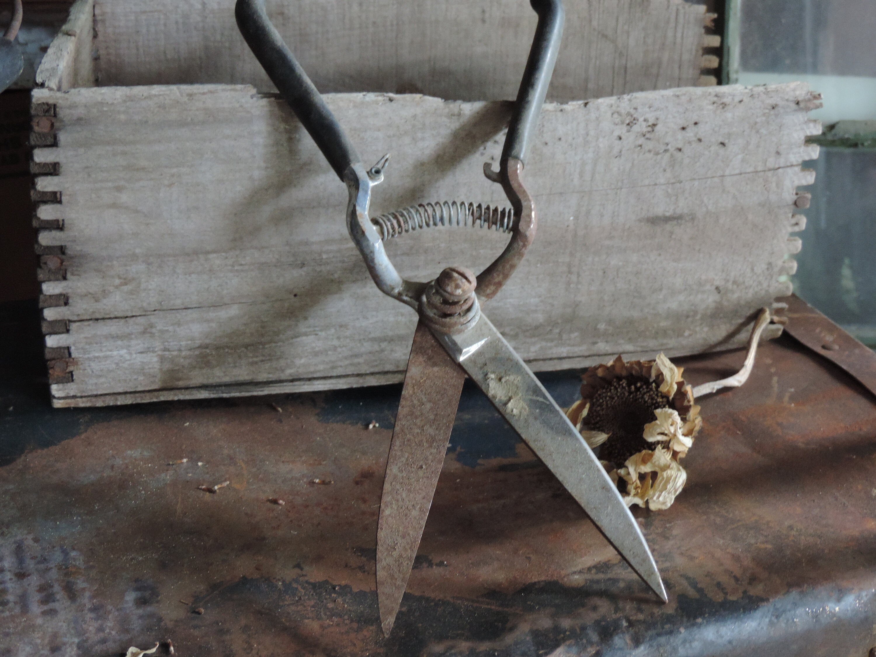 Italian Garden Shears Metal Grass Trimmers Village Blacksmith Made in ...