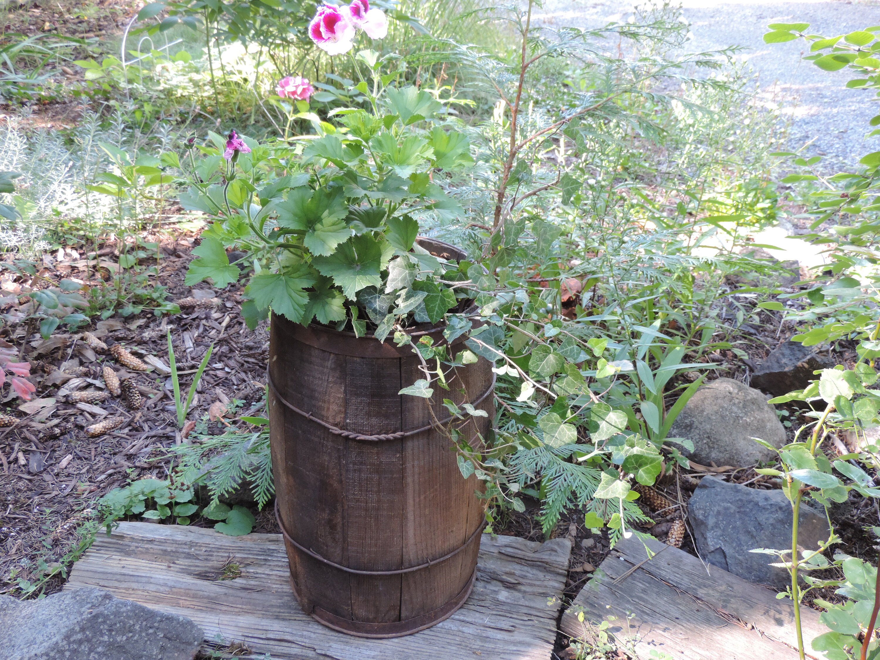 1920's Nail Keg Antique Wooden Nail Barrel Industrial Nail Keg Storage ...
