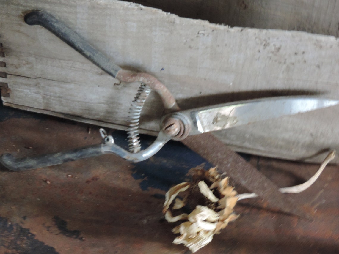 Italian Garden Shears Metal Grass Trimmers Village Blacksmith - Etsy