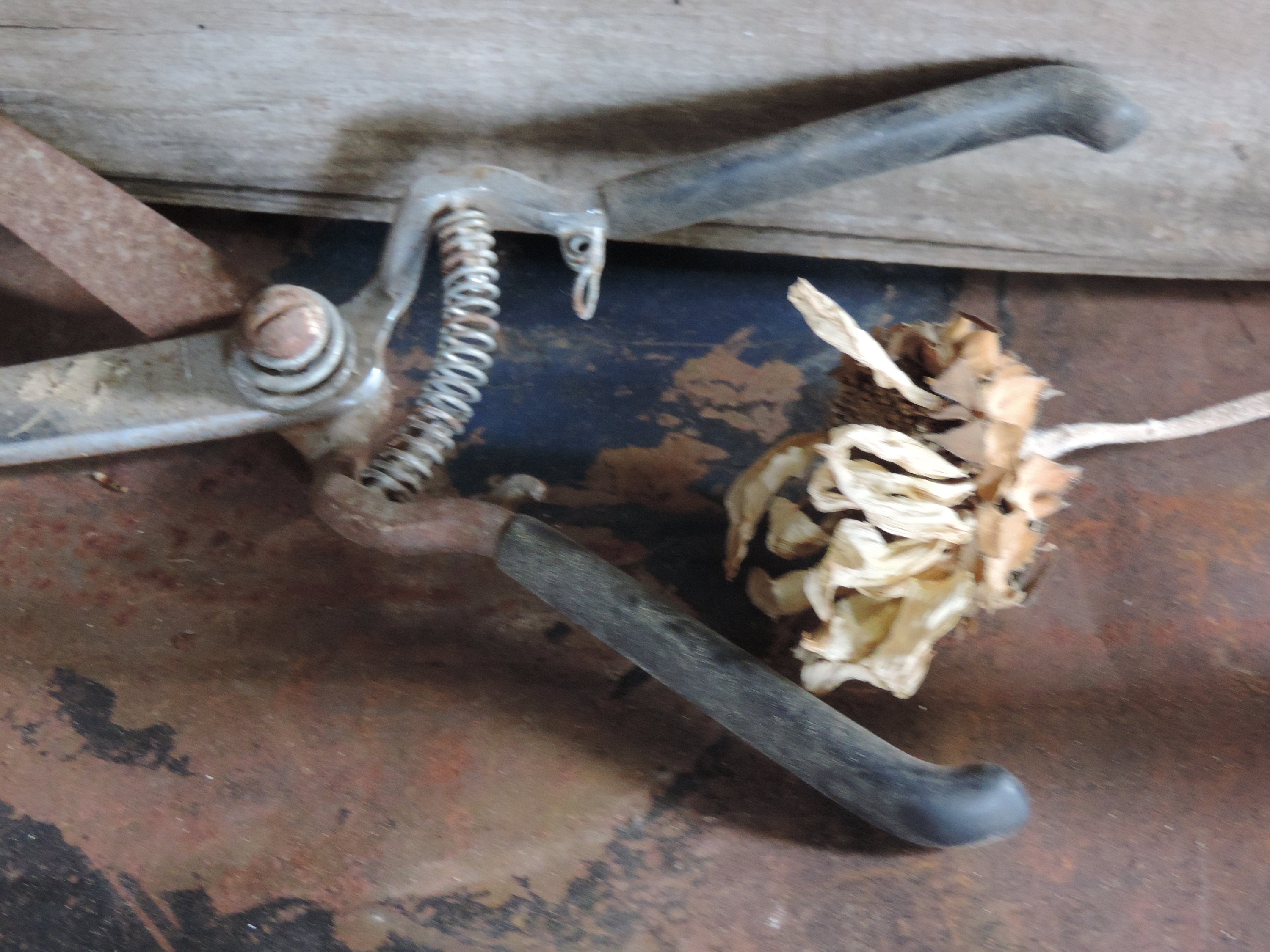 Italian Garden Shears Metal Grass Trimmers Village Blacksmith Made in ...