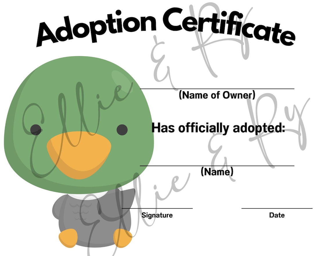 Mallard Duck Printable Plushie Stuffed Animal Adoption Certificate ...