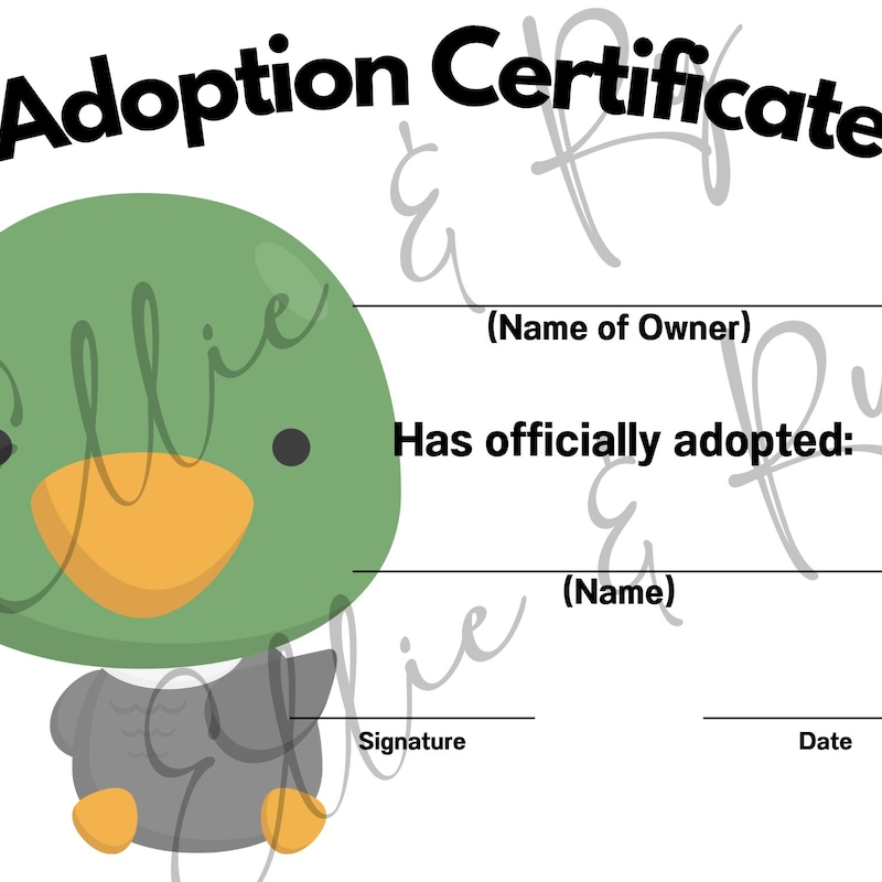 Adopt a Duck Near Me Baby - Etsy New Zealand