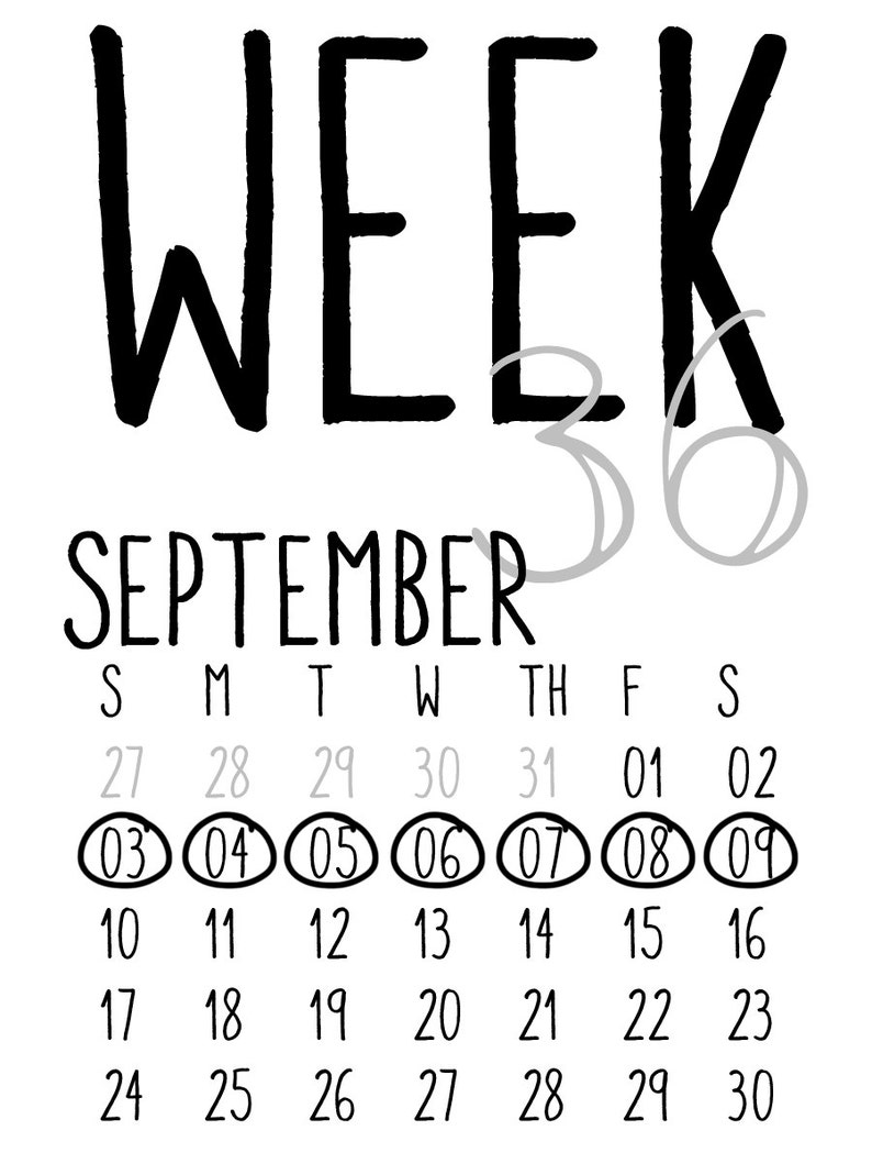 2017 Printable & Digital Numbered Week Cards With Monthly Calendar ...