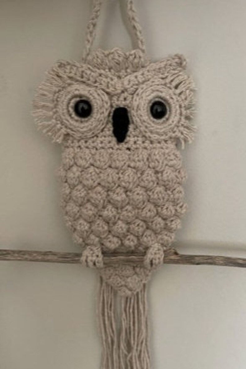 Crochet Owl Wall Hanging - Etsy