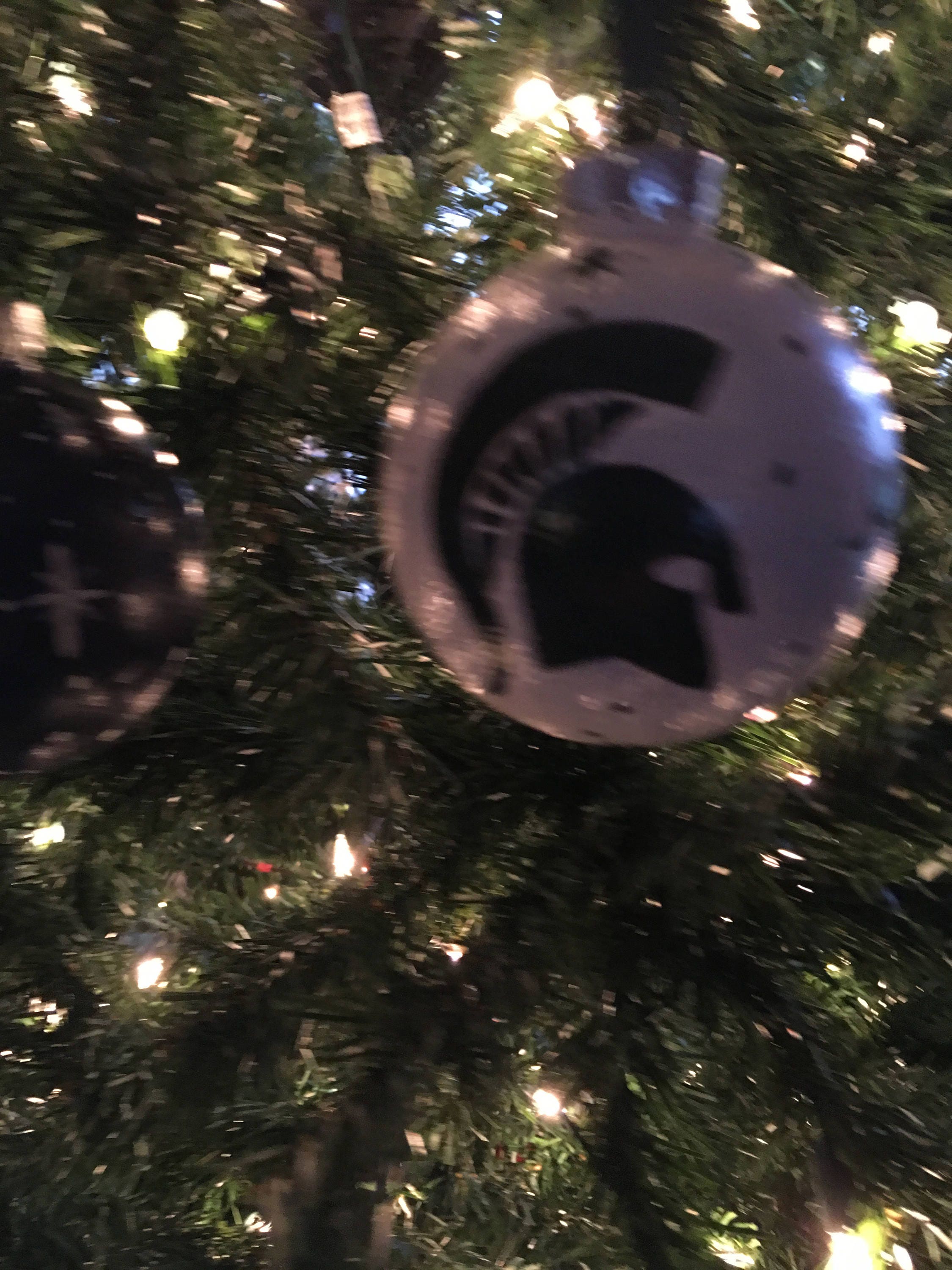 Spartan MSU Michigan State Hand-Painted Ornament | Etsy