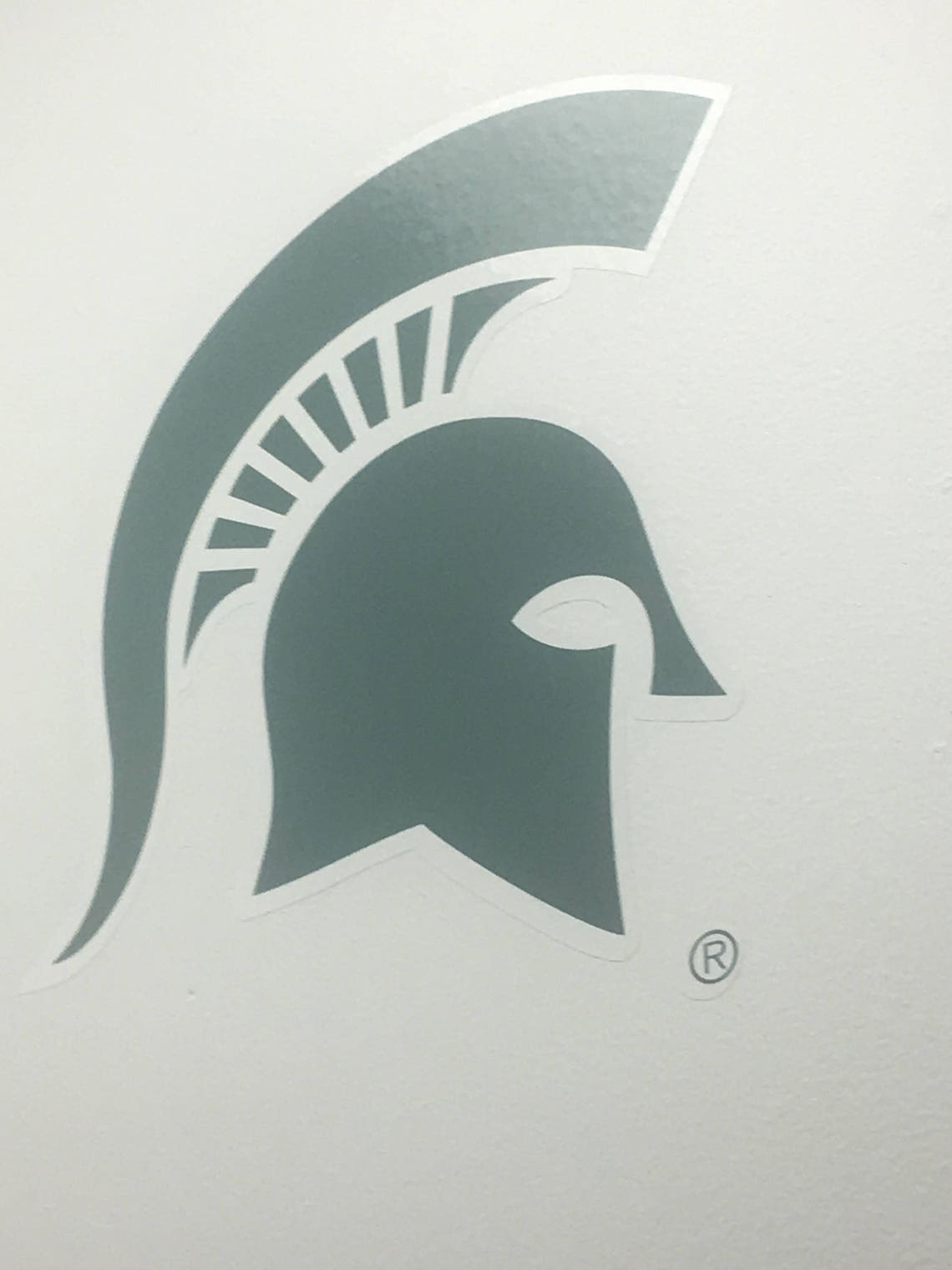 Spartan MSU Michigan State Hand-painted Ornament - Etsy