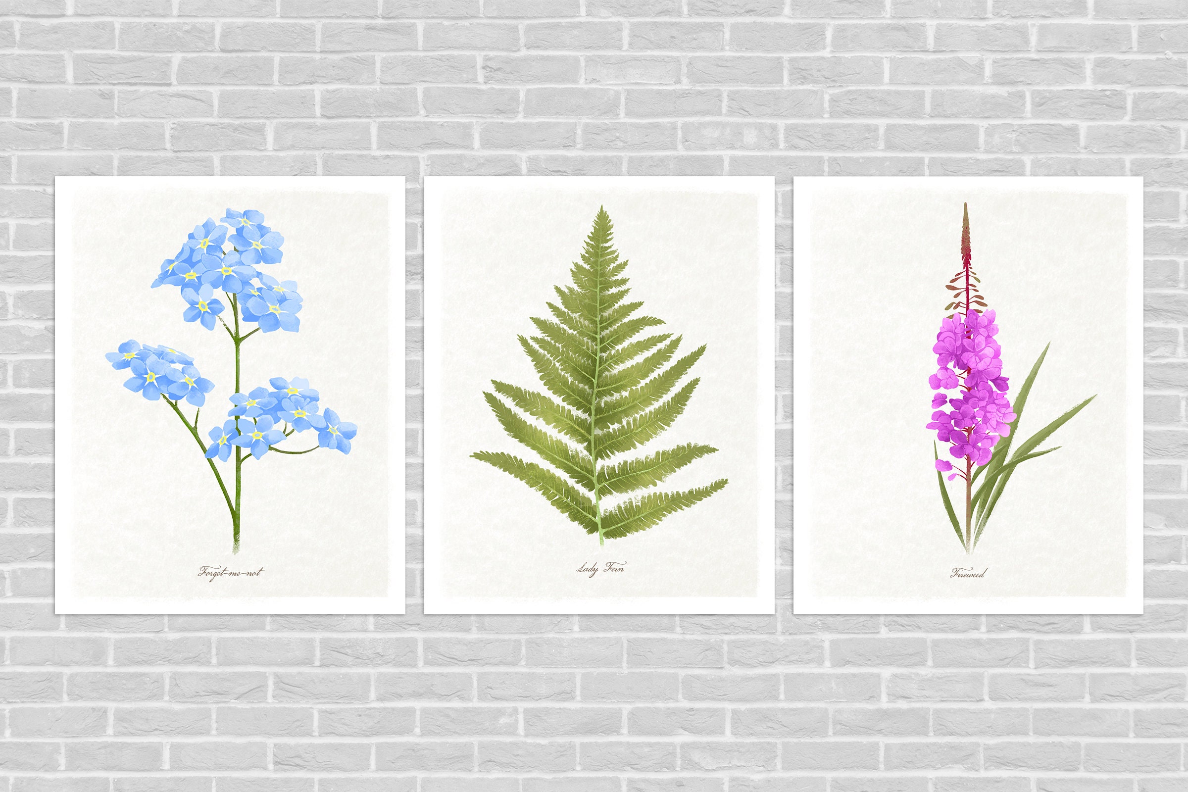 Forget Me Not Flower Art Print Forget-me-not Print Vintage - Etsy