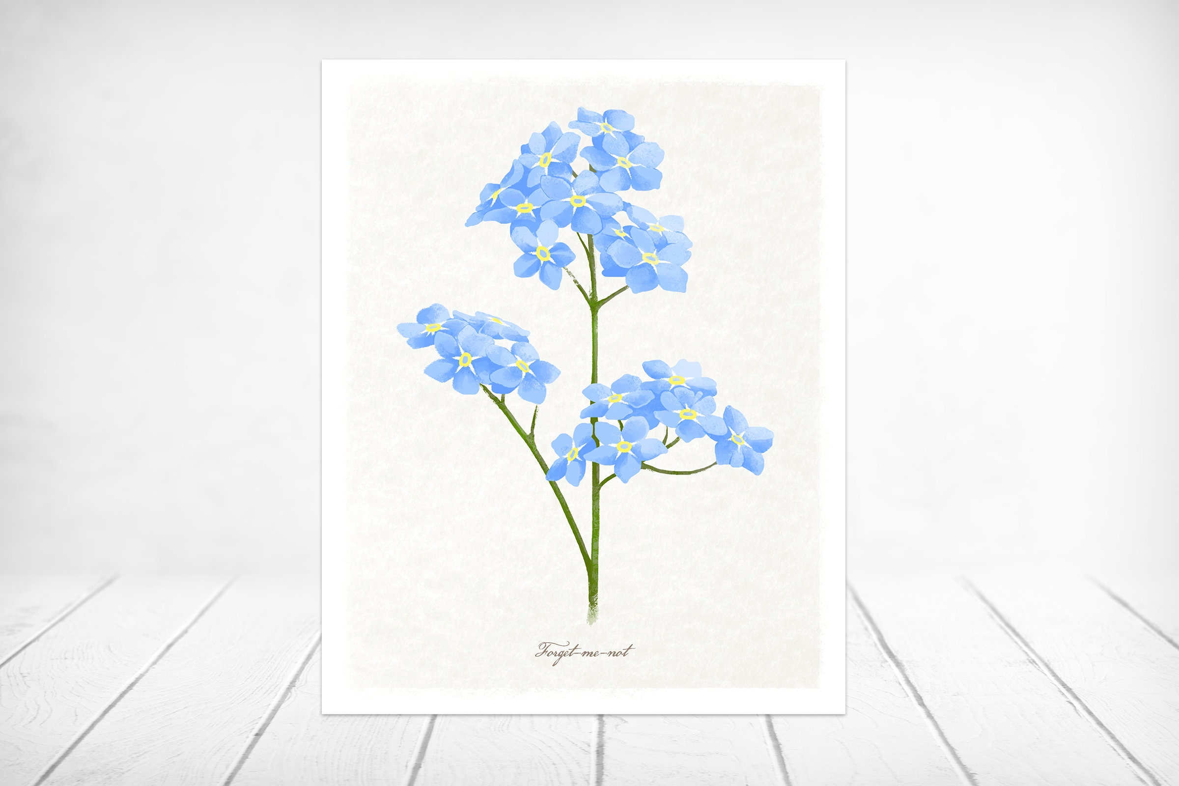 Forget Me Not Flower Art Print Forget-me-not Print Vintage - Etsy