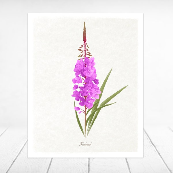 Fireweed - Etsy