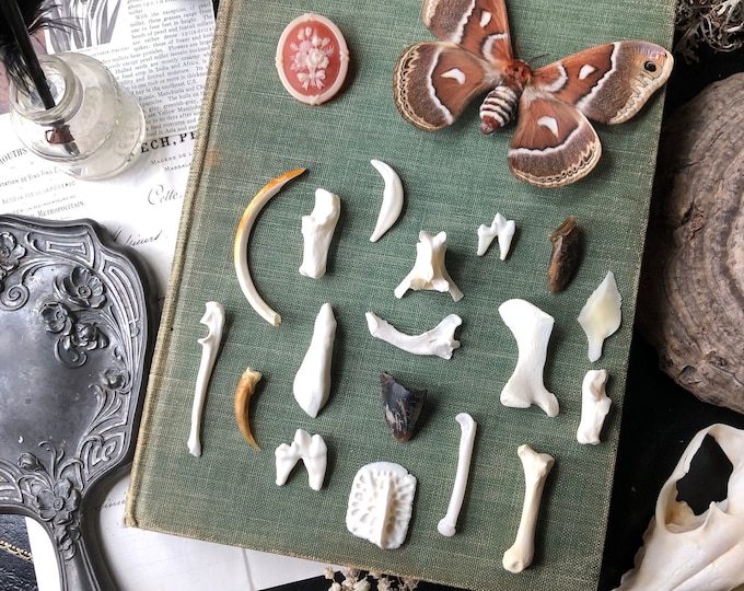 Bone Casting & Collecting Mystery Box | Osteomancy | Bone Divination ...