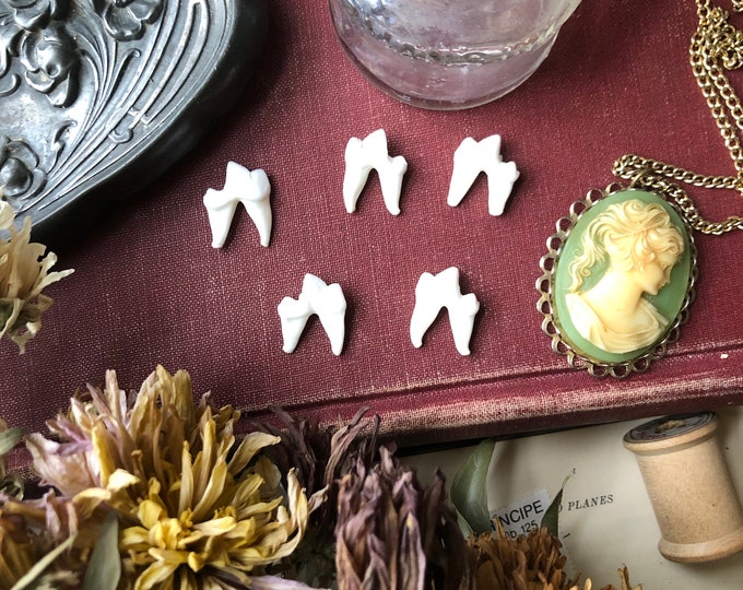 1 Fox Molar Real Animal Teeth Bone Casting Divination Curiosities ...