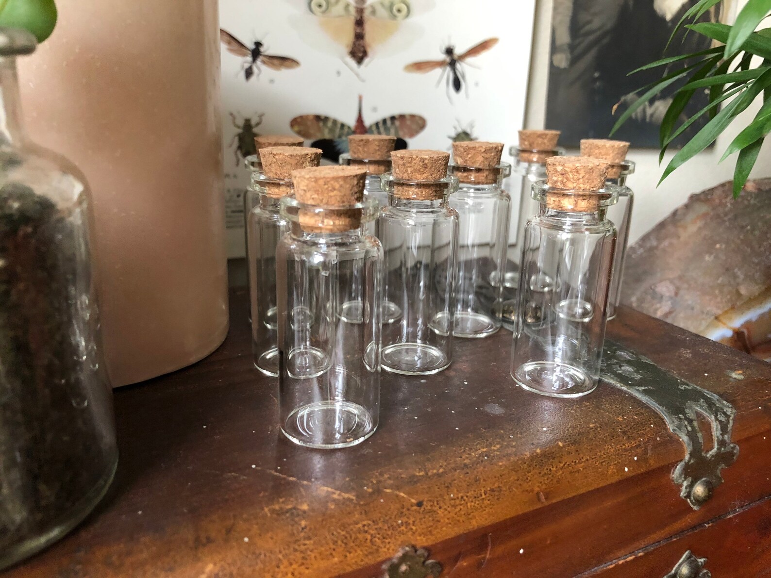 10 Glass Vials With Cork Stoppers 10ml cabinet of - Etsy