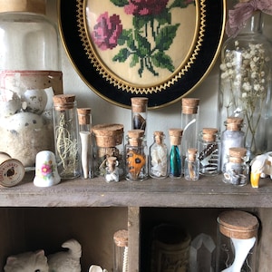 20 Item Curiosities Mystery Box Gift Real Animal Bones Fossils ...