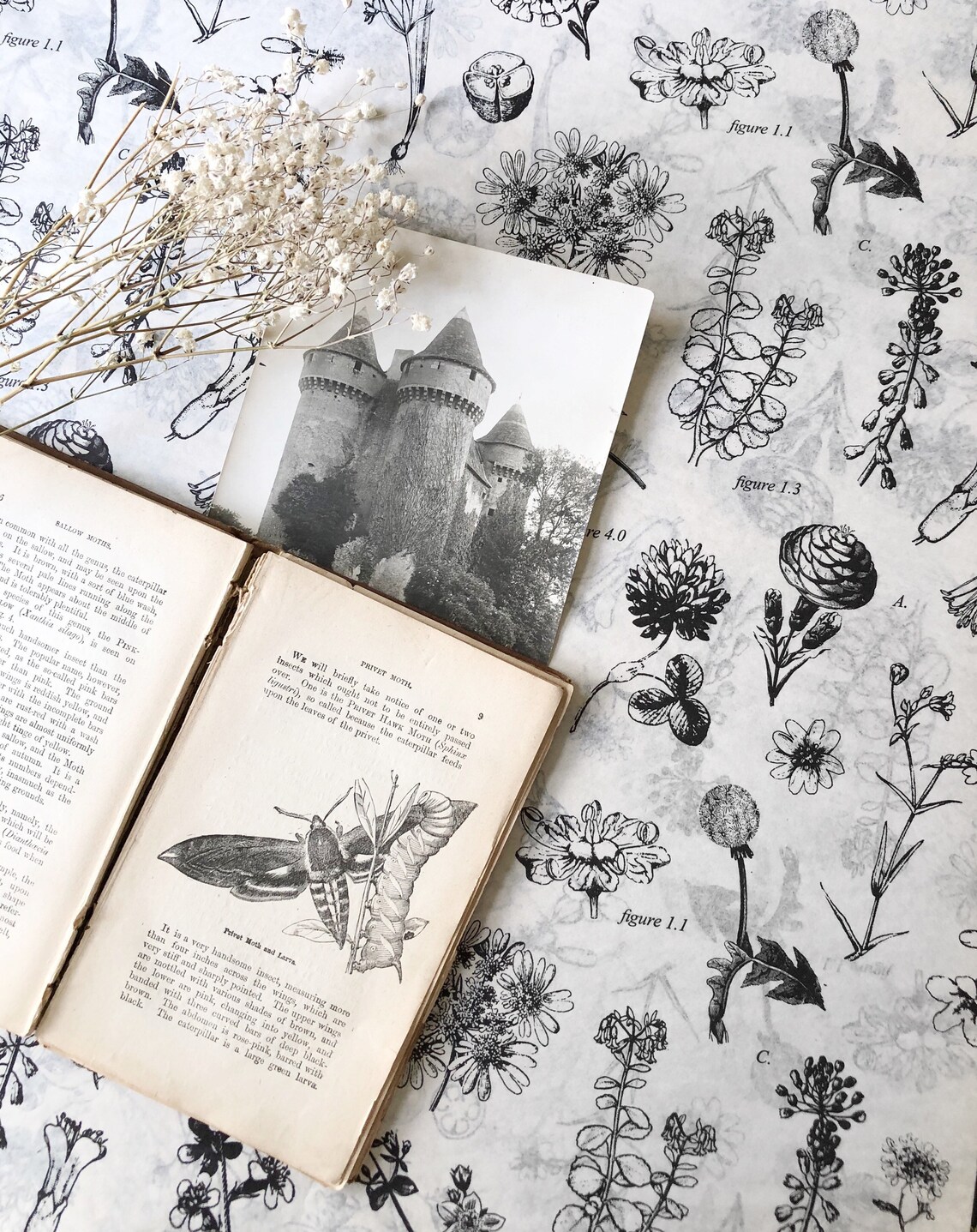 100% Recycled Botanical Tissue Paper 60 Sheets 20 X - Etsy