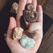 20 Item Curiosities Mystery Box Gift Real Animal Bones Fossils ...