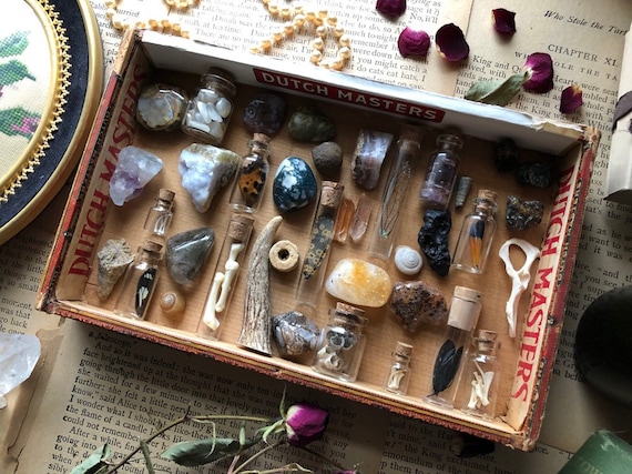20 Item Curiosities Mystery Box Gift Real Animal Bones - Etsy Canada