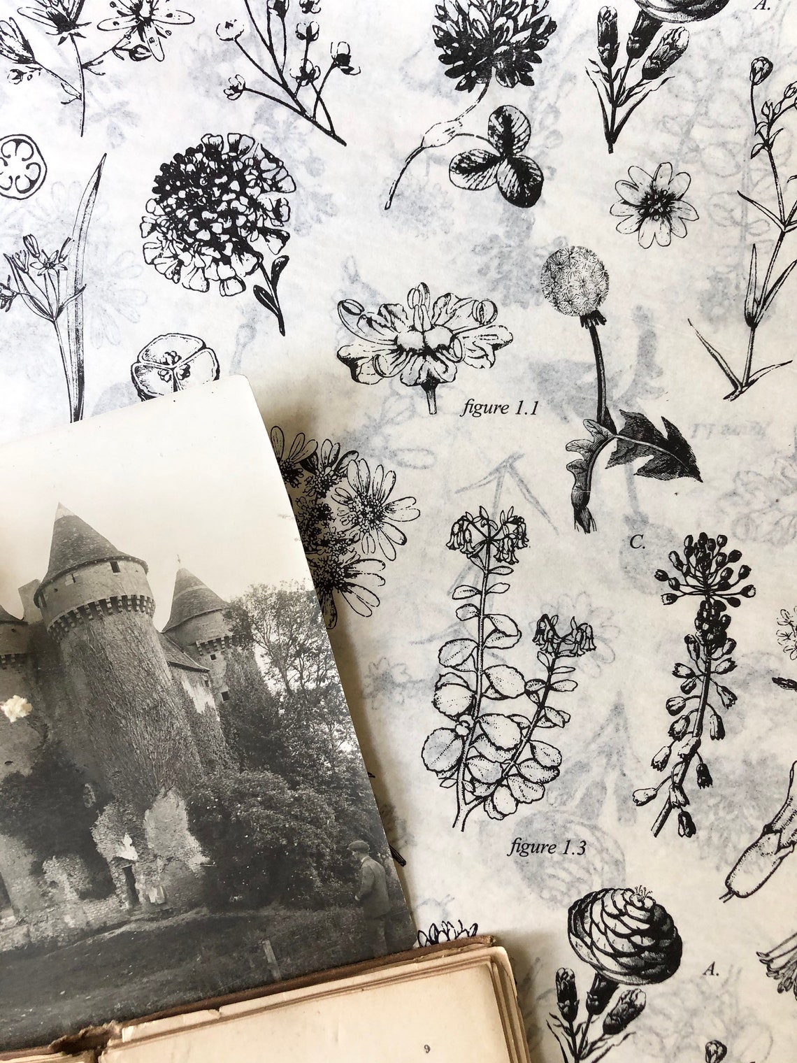 100% Recycled Botanical Tissue Paper 60 Sheets 20 X - Etsy