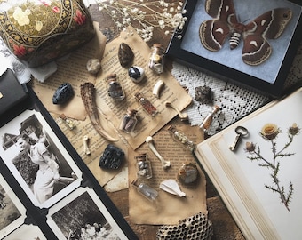 Curiosities Mystery Box, Curio Cabinet Starter Collection, Oddities and ...