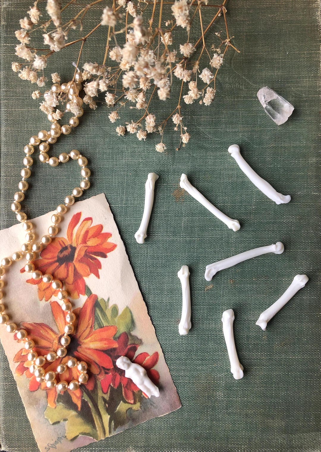 1 Bobcat Foot Bone Real Animal Bones Curiosity Cabinet Jewelry Making ...