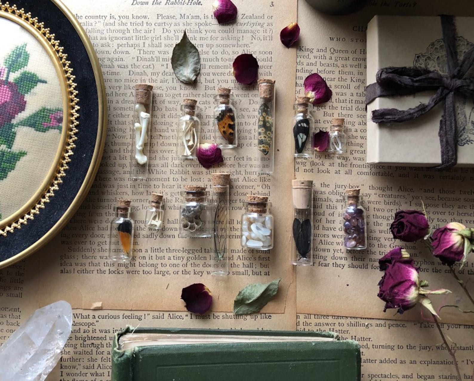 20 Item Curiosities Mystery Box Gift Real Animal Bones - Etsy Canada