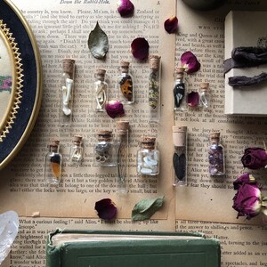 20 Item Curiosities Mystery Box Gift Real Animal Bones Fossils ...
