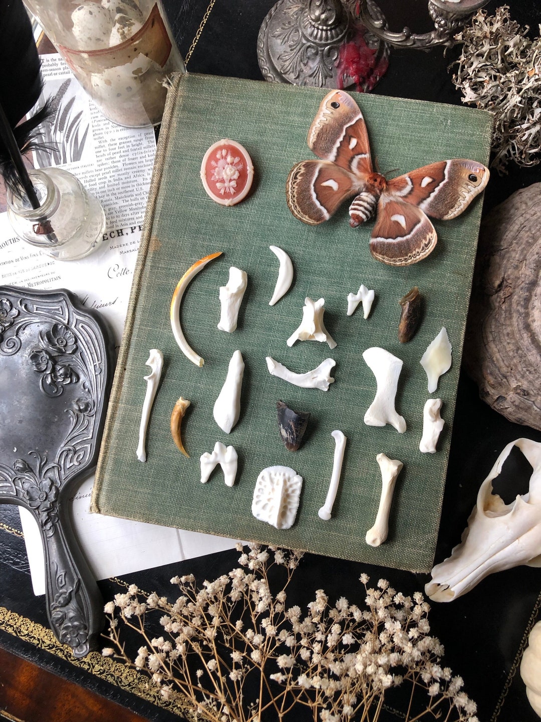 Bone Casting & Collecting Mystery Box | Osteomancy | Bone Divination ...