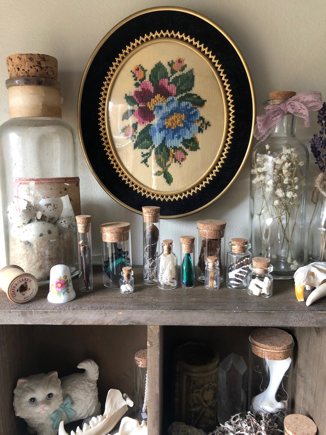 5 Item Curio Vial Collection Mystery Box | Curio Gift | Curiosities and ...