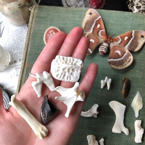 Bone Casting & Collecting Mystery Box Osteomancy Bone Divination Bones ...