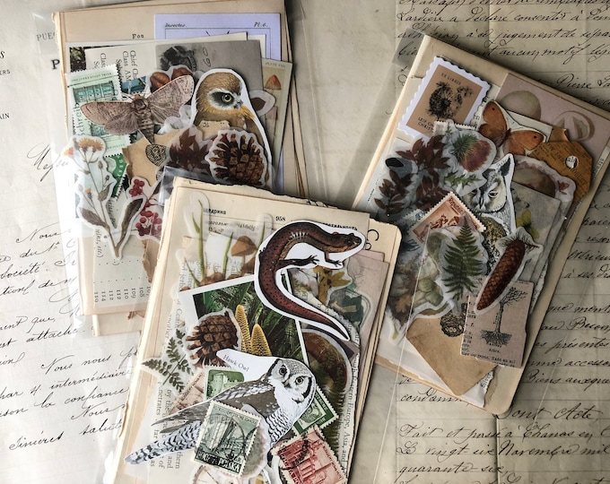 The Naturalist Ephemera Pack 30pc Nature Journal Kit - Etsy