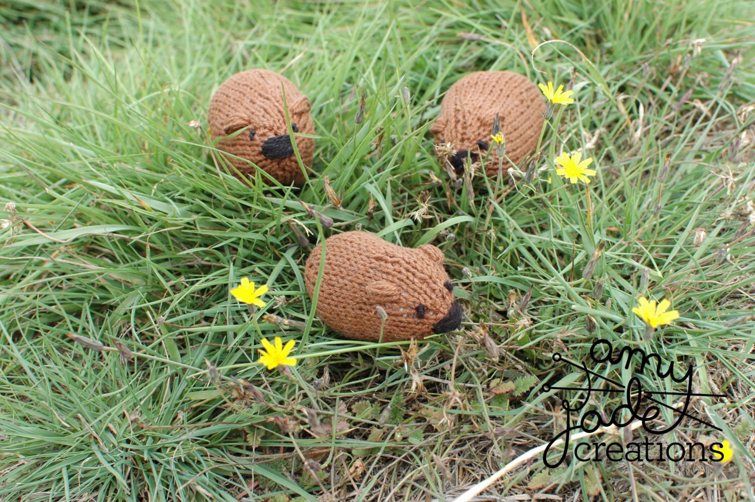 Wombat Knitting Pattern / Instant Download / Digital PDF - Etsy Canada