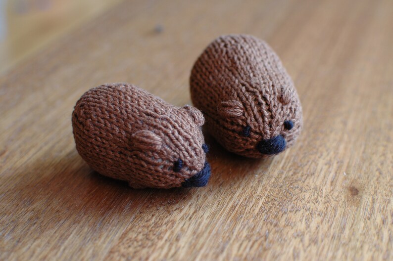 Wombat Knitting Pattern / Instant Download / Digital PDF Patterns ...