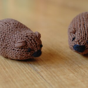 Wombat Knitting Pattern / Instant Download / Digital PDF Patterns ...