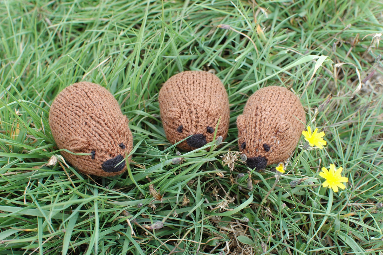 Wombat Knitting Pattern / Instant Download / Digital PDF Patterns ...