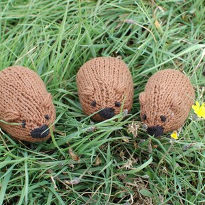 Wombat Knitting Pattern / Instant Download / Digital PDF Patterns ...