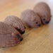 Wombat Knitting Pattern / Instant Download / Digital PDF Patterns ...