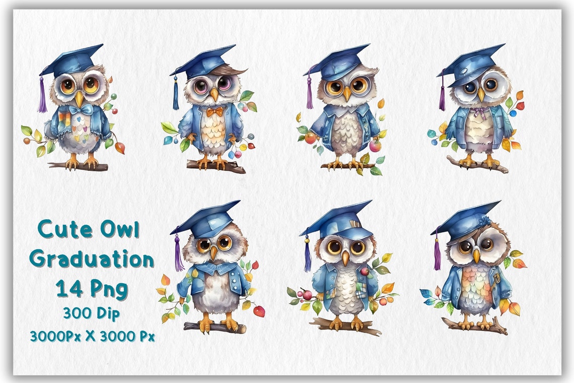Cute Owl Graduation Watercolorclipart, Sublimation Watercolor, Owl ...