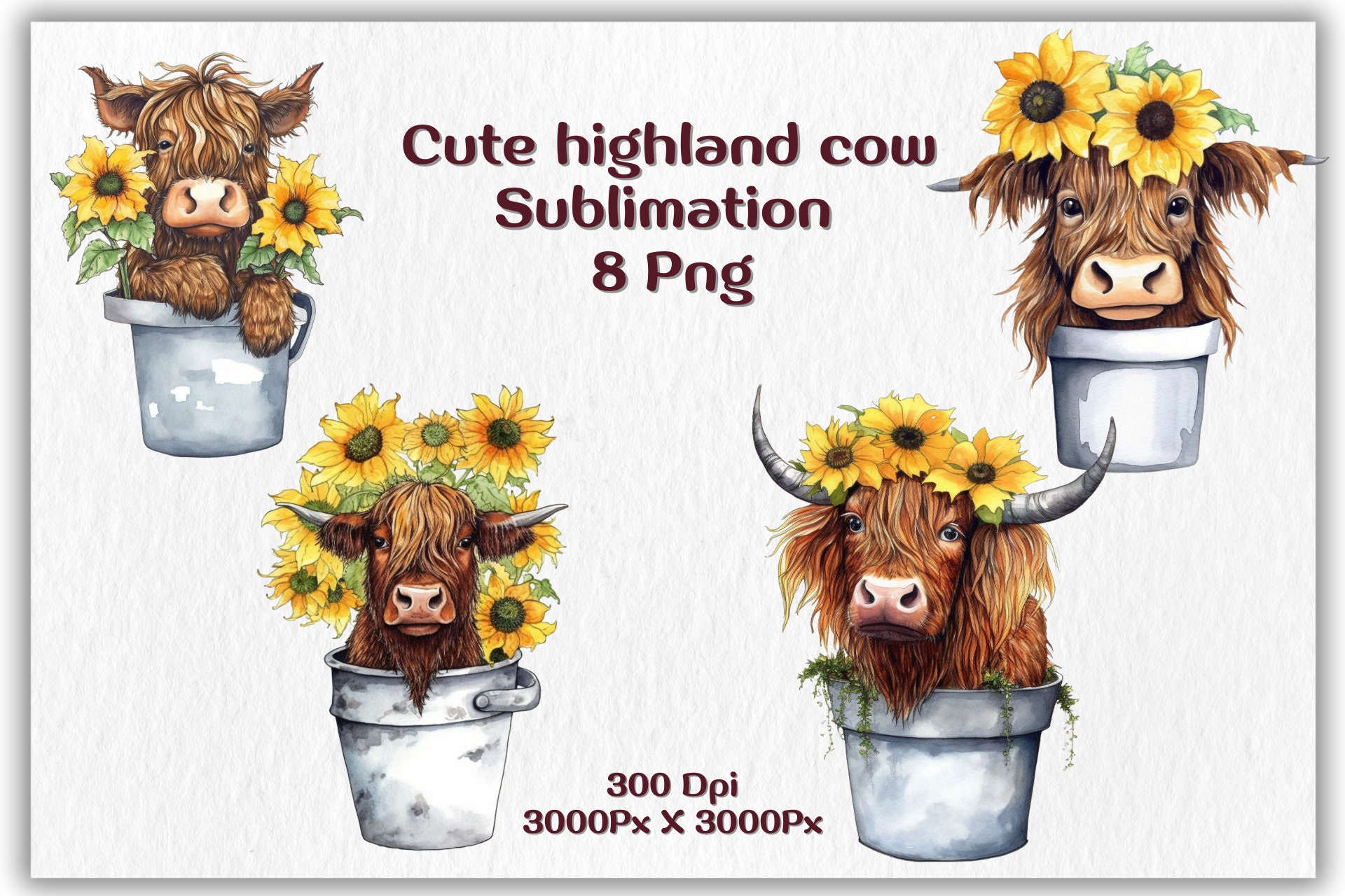Cute Highland Cow Clipart,highland Cow and Sunflower Watercolor ...
