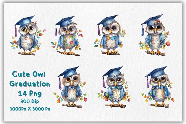 Cute Owl Graduation Watercolorclipart, Sublimation Watercolor, Owl ...
