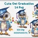 Cute Owl Graduation Watercolorclipart, Sublimation Watercolor, Owl ...